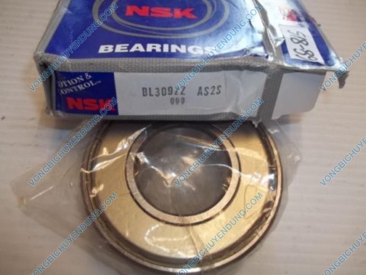 VÒNG BI NSK BL309, BẠC ĐẠN NSK BL 309 - 45x100x25mm