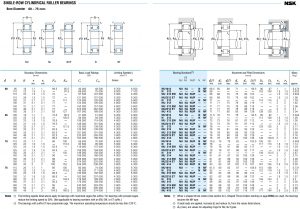 Vòng bi NSK N413W, Bạc đạn NSK N 413 W - 65x160x37mm